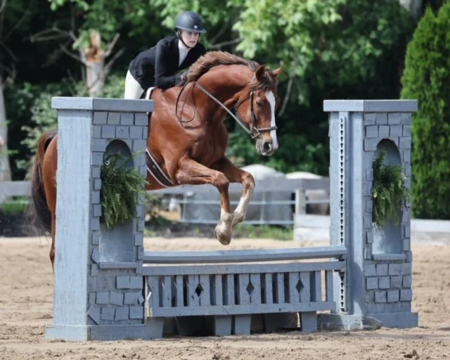 Legacy Stables at Lake St. Louis