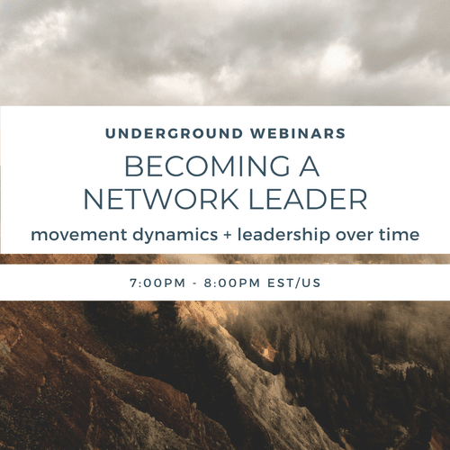 Webinar: Becoming a Network Leader | Movement Dynamics + Leadership ...