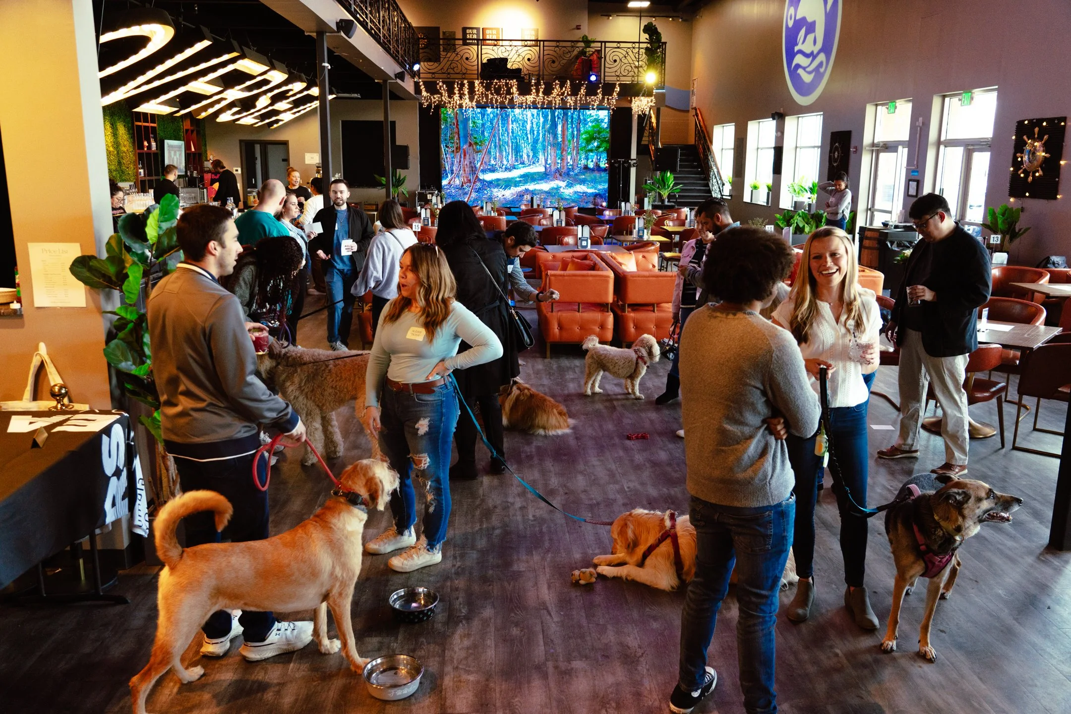 Maryland Singles Social Club