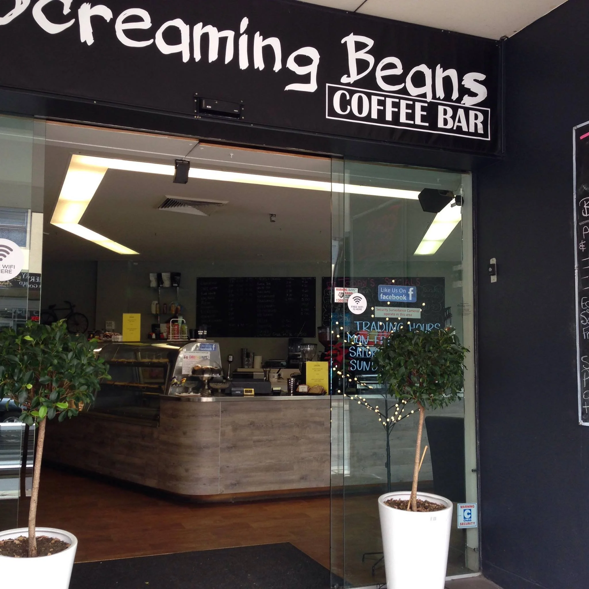 Meet the Team — Screaming Bean