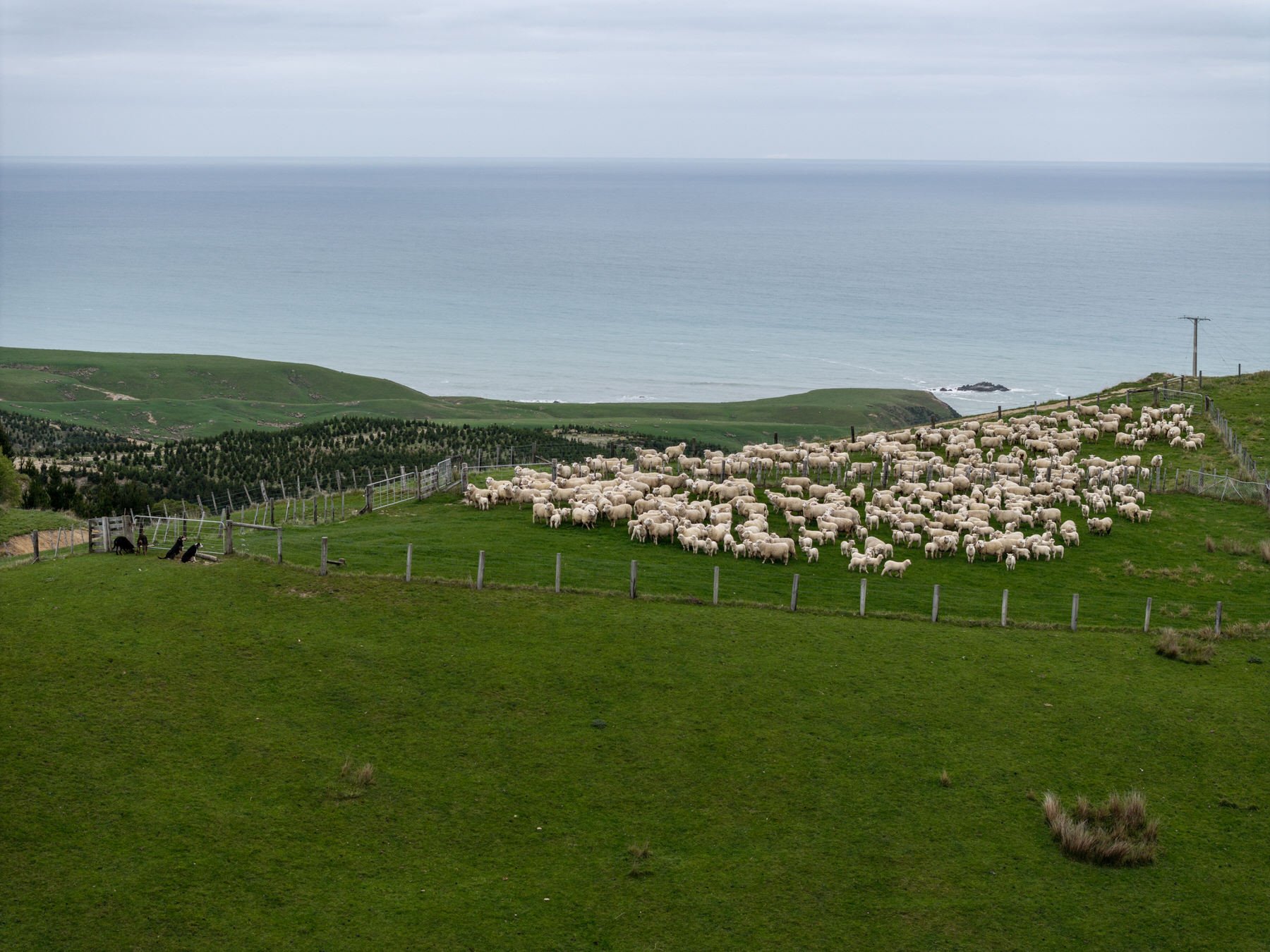 Riversdale Beach Farm Hike | Orui Station — Pohatu Farm