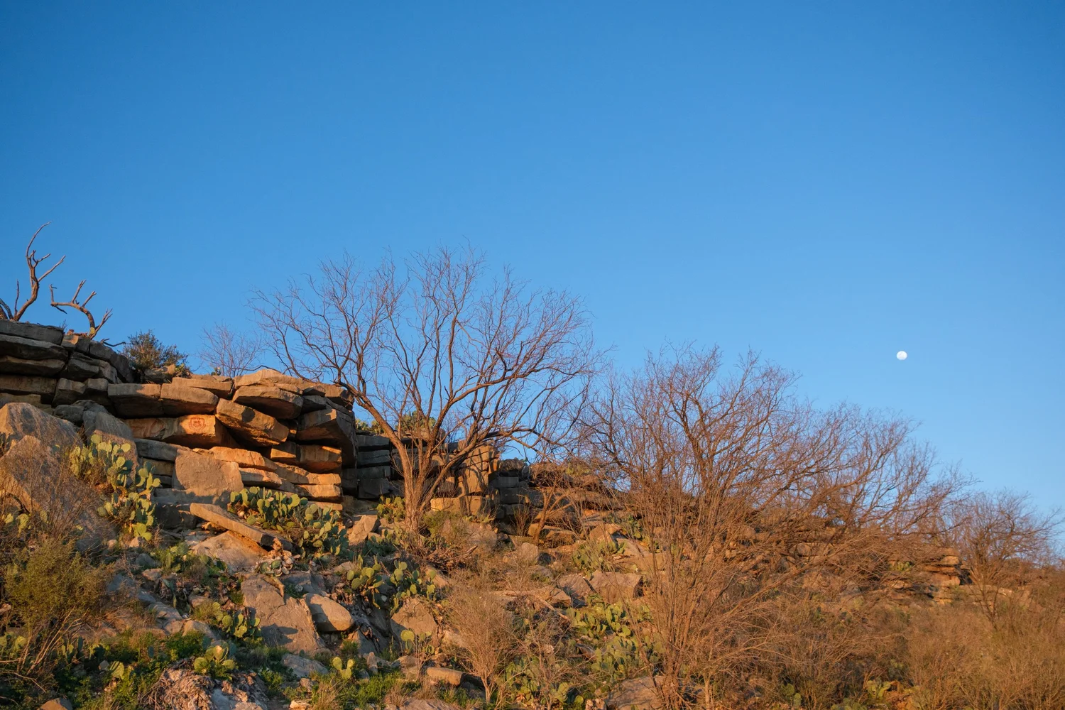 Edwards Plateau Archaeological Research Group