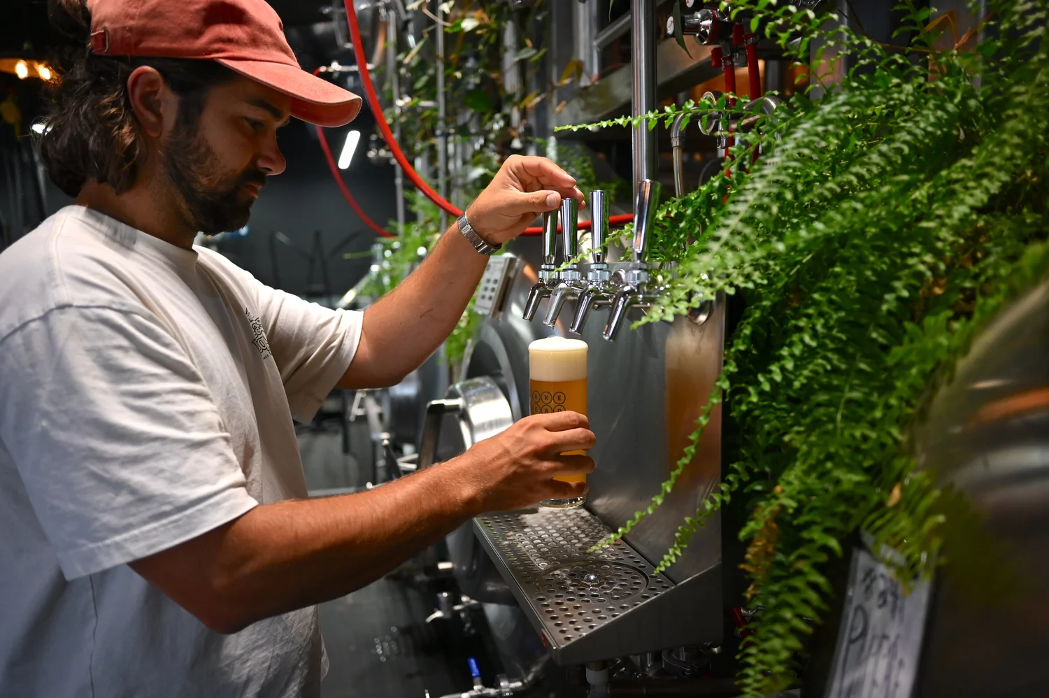 Rowan Tree Collective — The Walleye