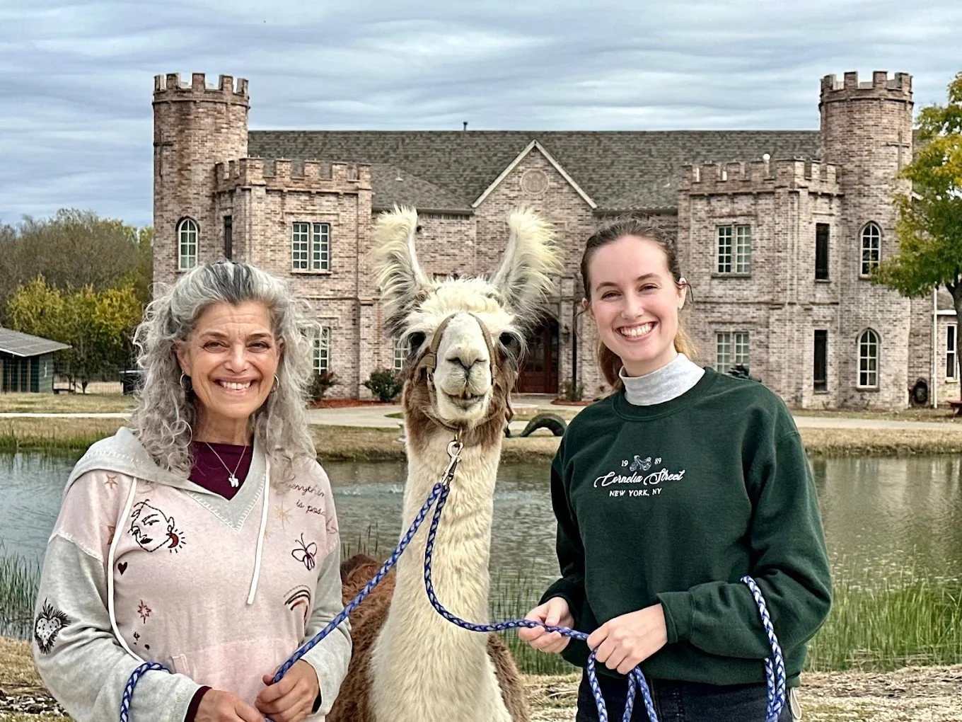 Llama Walks | Book Your Llama Adventure Today — ShangriLlama