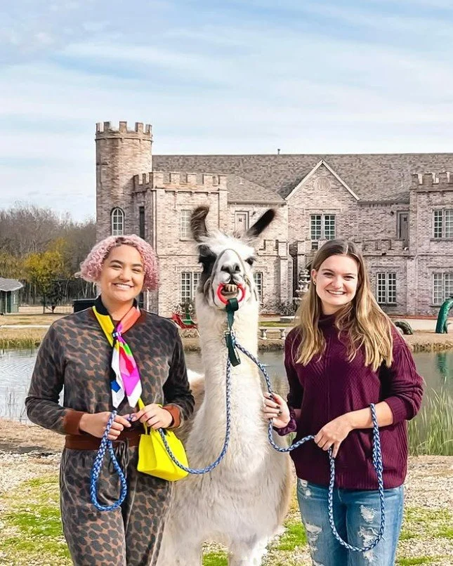 Llama Walks | Book Your Llama Adventure Today — ShangriLlama