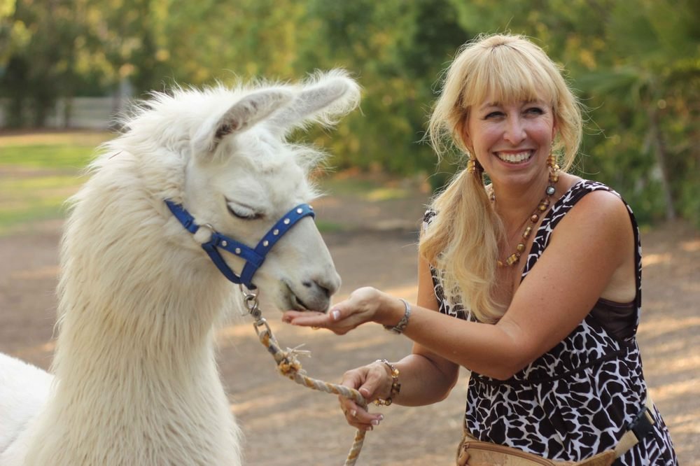 ShangriLllama | Book Your Llama Experience Today