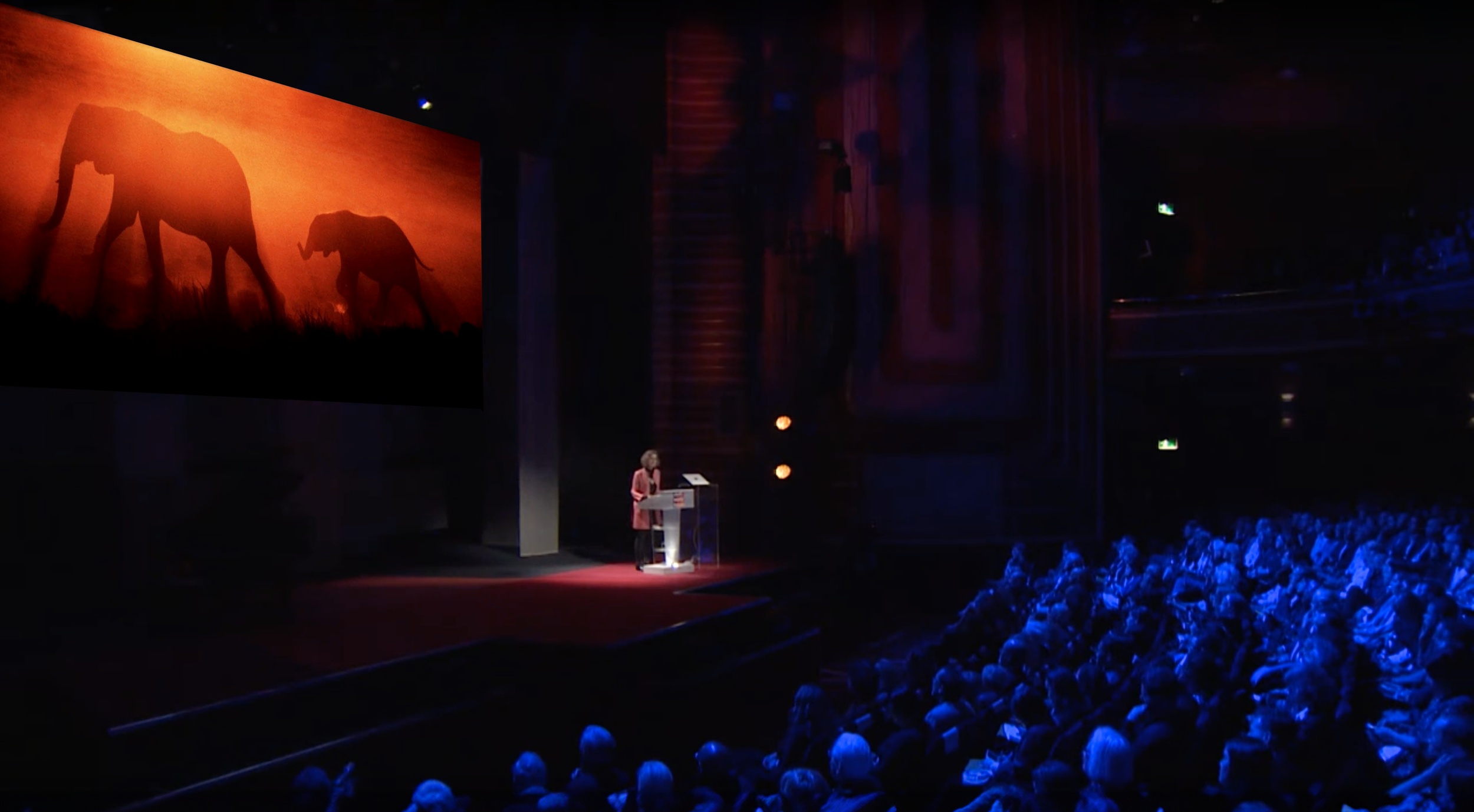 Speaker | Inspire Engagement—Book a Speaker — Annie Griffiths