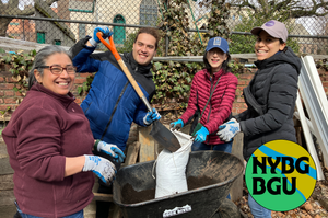 NYC Community Compost Network