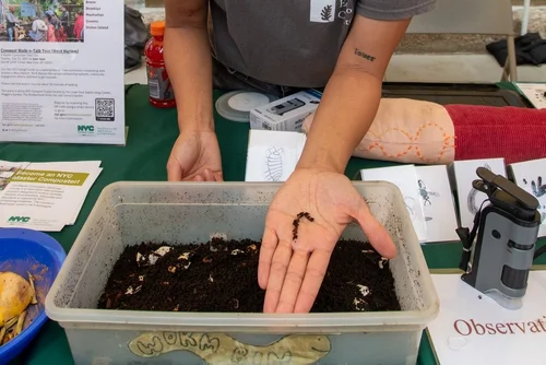 Lower East Side Ecology Center — NYC Community Compost Network