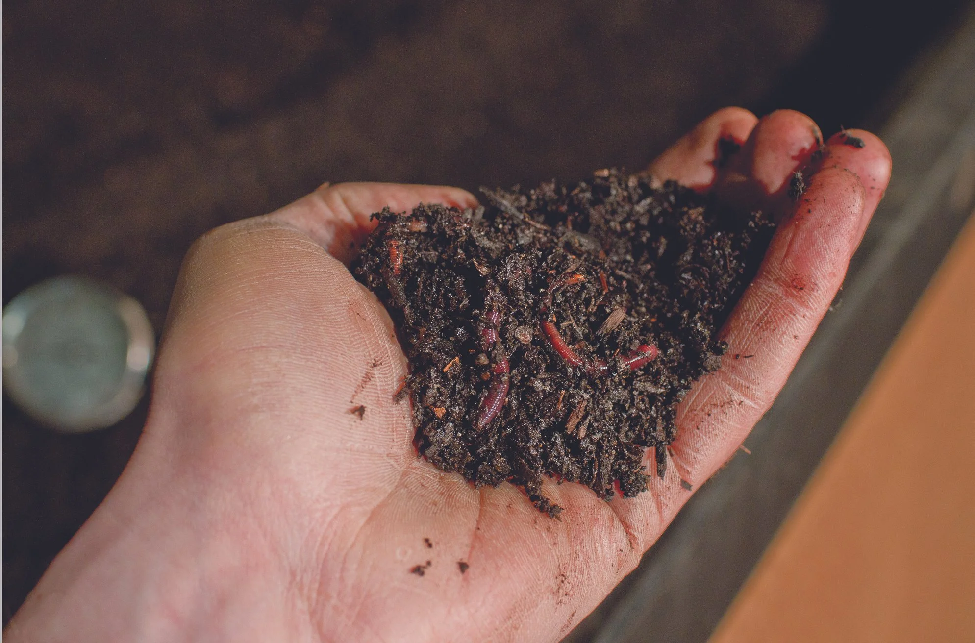 Master Composter — NYC Community Compost Network