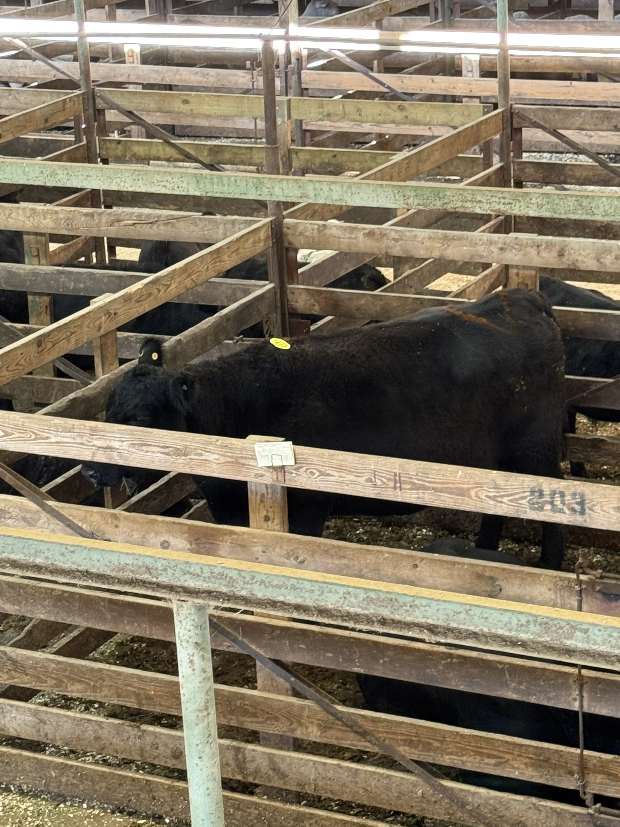 Overview — Colfax Livestock Sales | Colfax Sale Barn