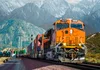 Primary Freight — Primary Companies