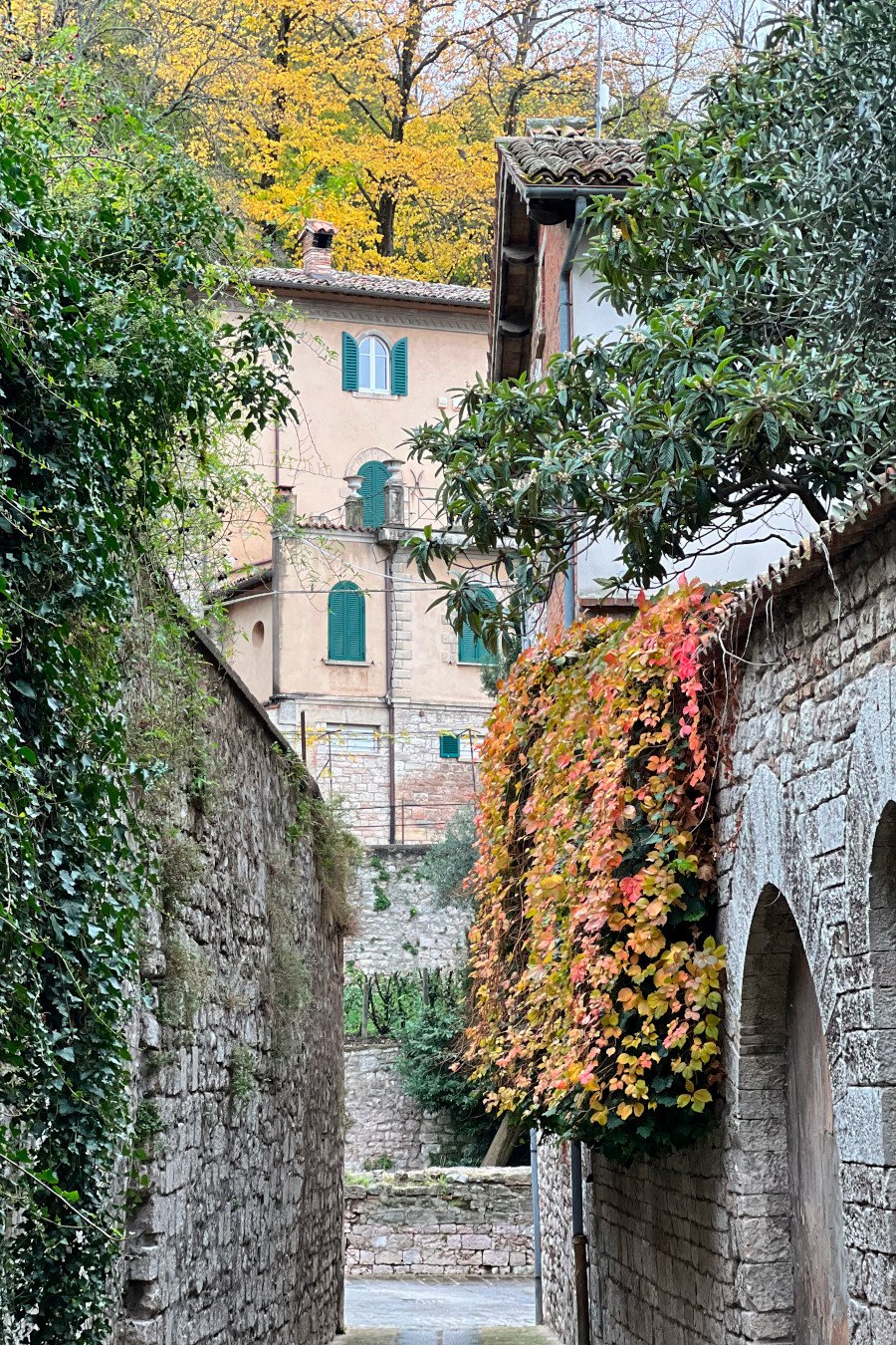 7 Reasons Why You Should Visit Italy in Autumn — Old World Italian