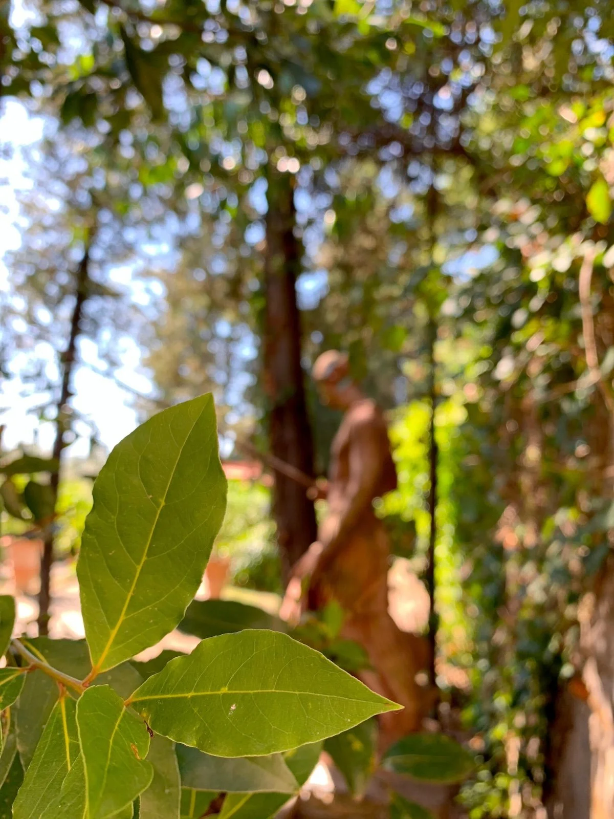 Garden — Old World Italian