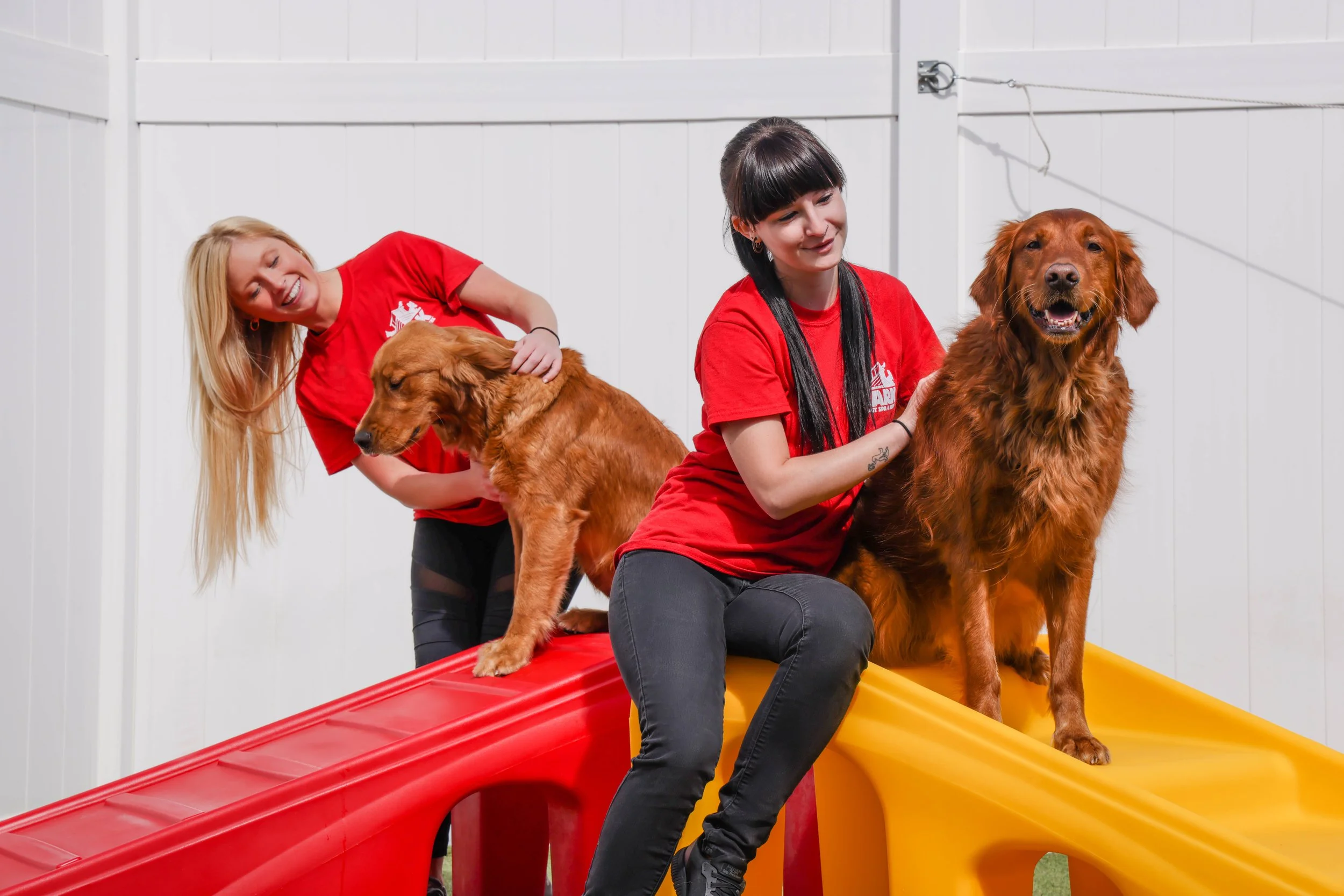 About — Dougie's Dog Bar