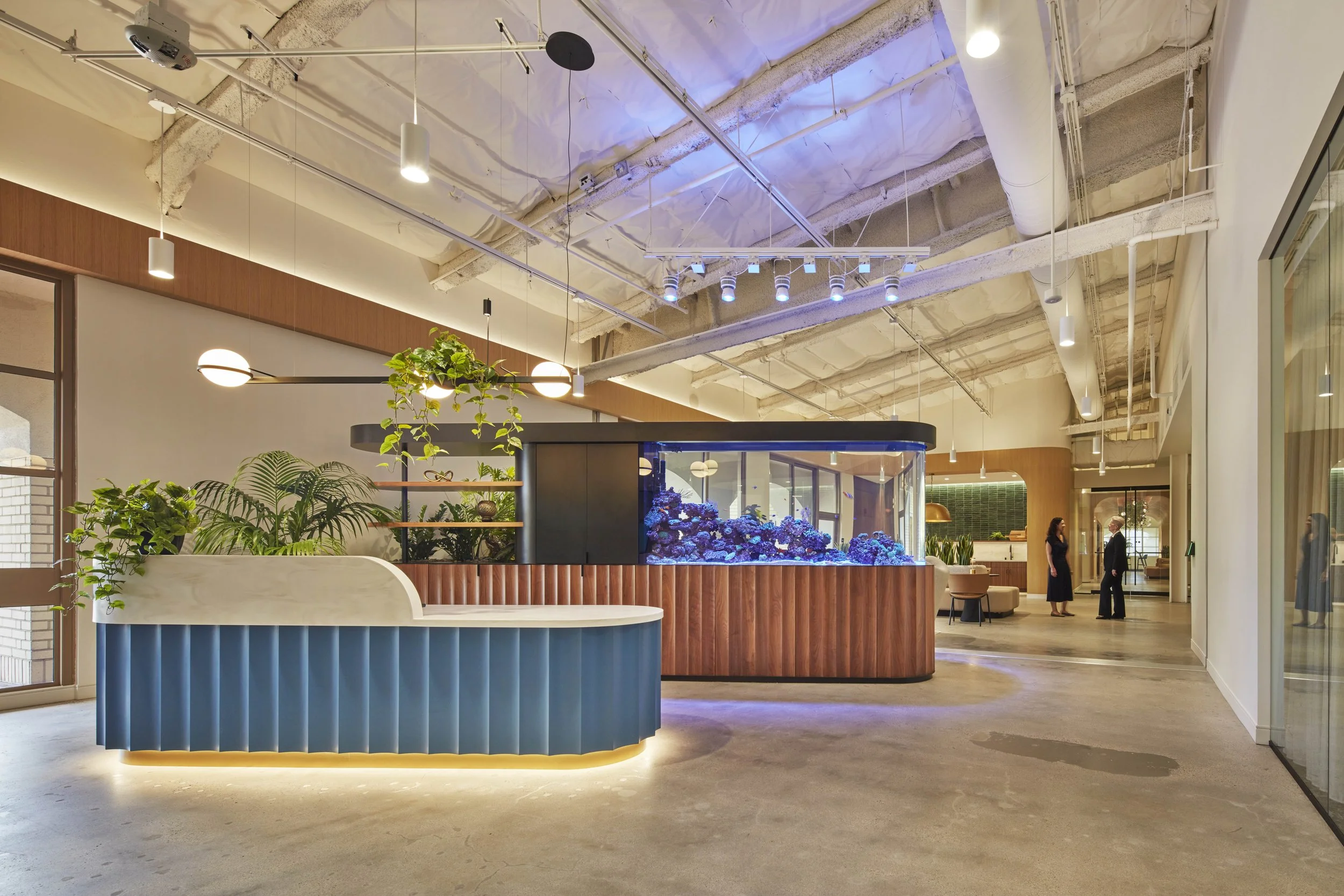 Poms — Studio Blitz