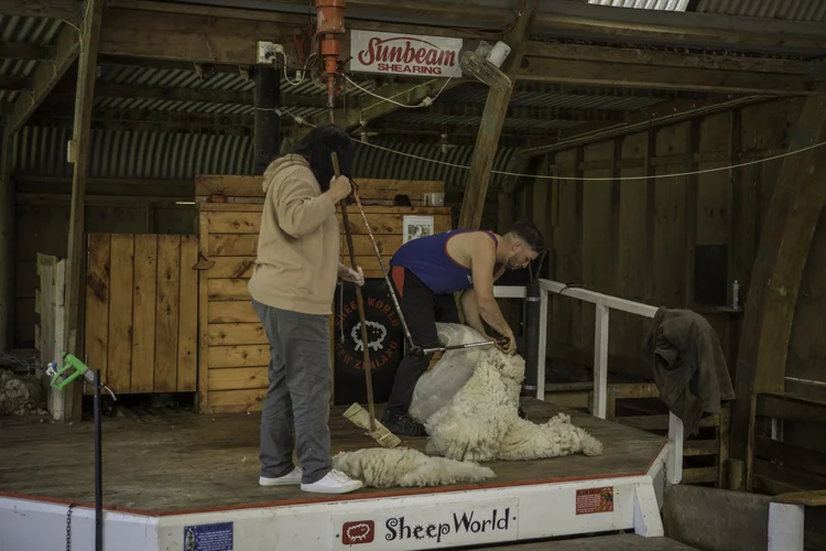 Sheepworld Farm Park