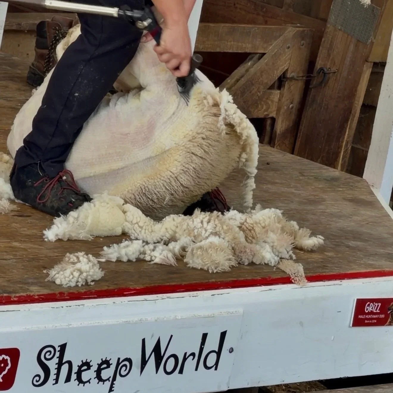 Sheepworld Farm Park