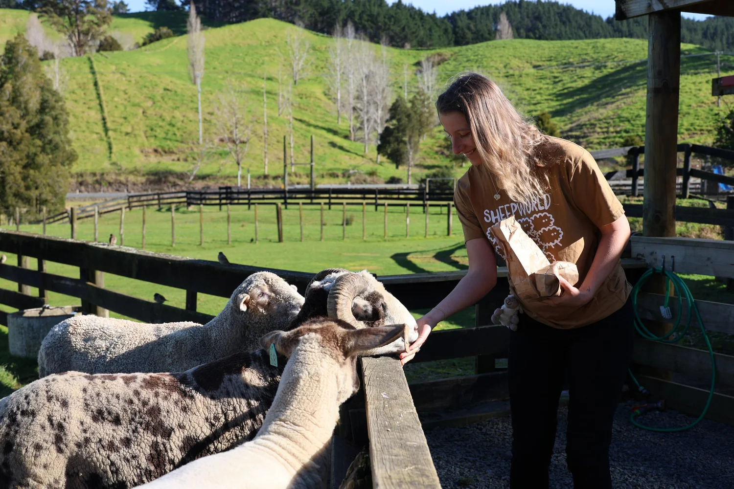 Sheepworld Farm Park