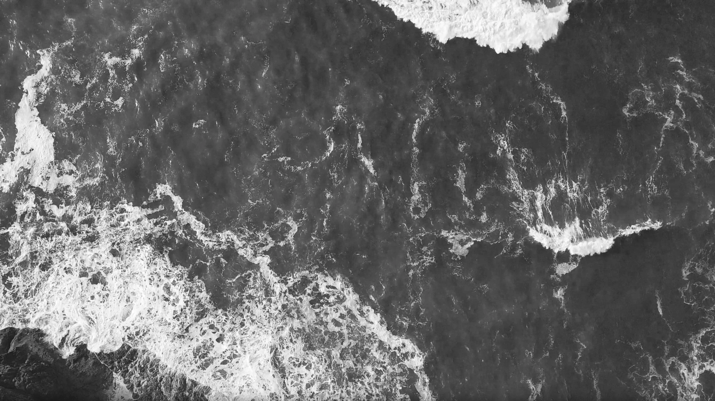 The Studio By Catalyst