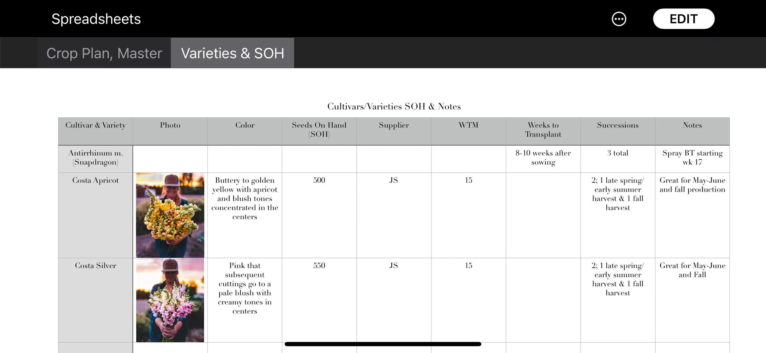 Crop Planning Tools and Templates for Flower Farmers — Sierra Flower Farm