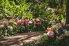 About — Sierra Flower Farm