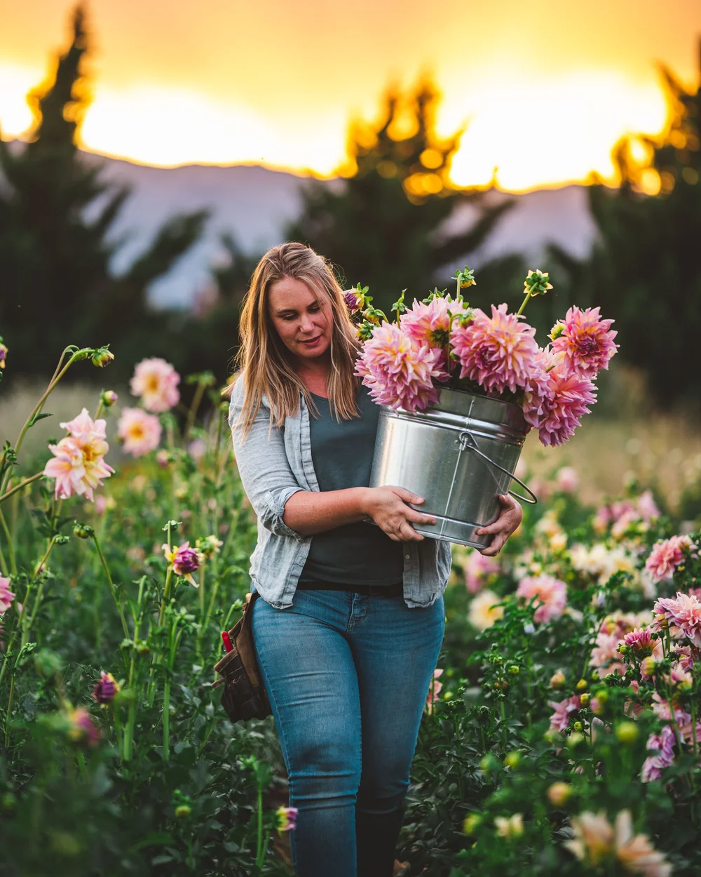 Lessons Learned: Starting and Growing a Flower Farm with Limited Space ...