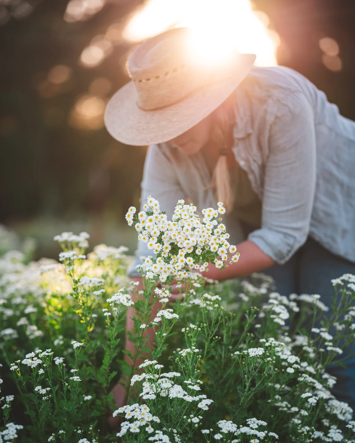 Sierra Flower Farm