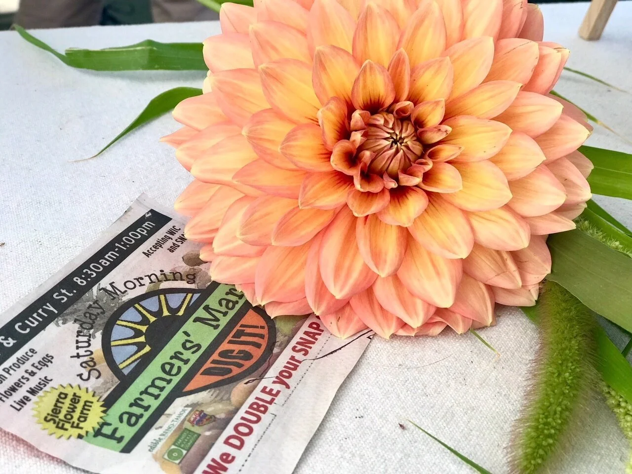 Farmers Market Tips for Flower Farmers: Build, Sell, and Succeed ...