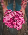 Simplified Bookkeeping for Flower Farmers — Sierra Flower Farm