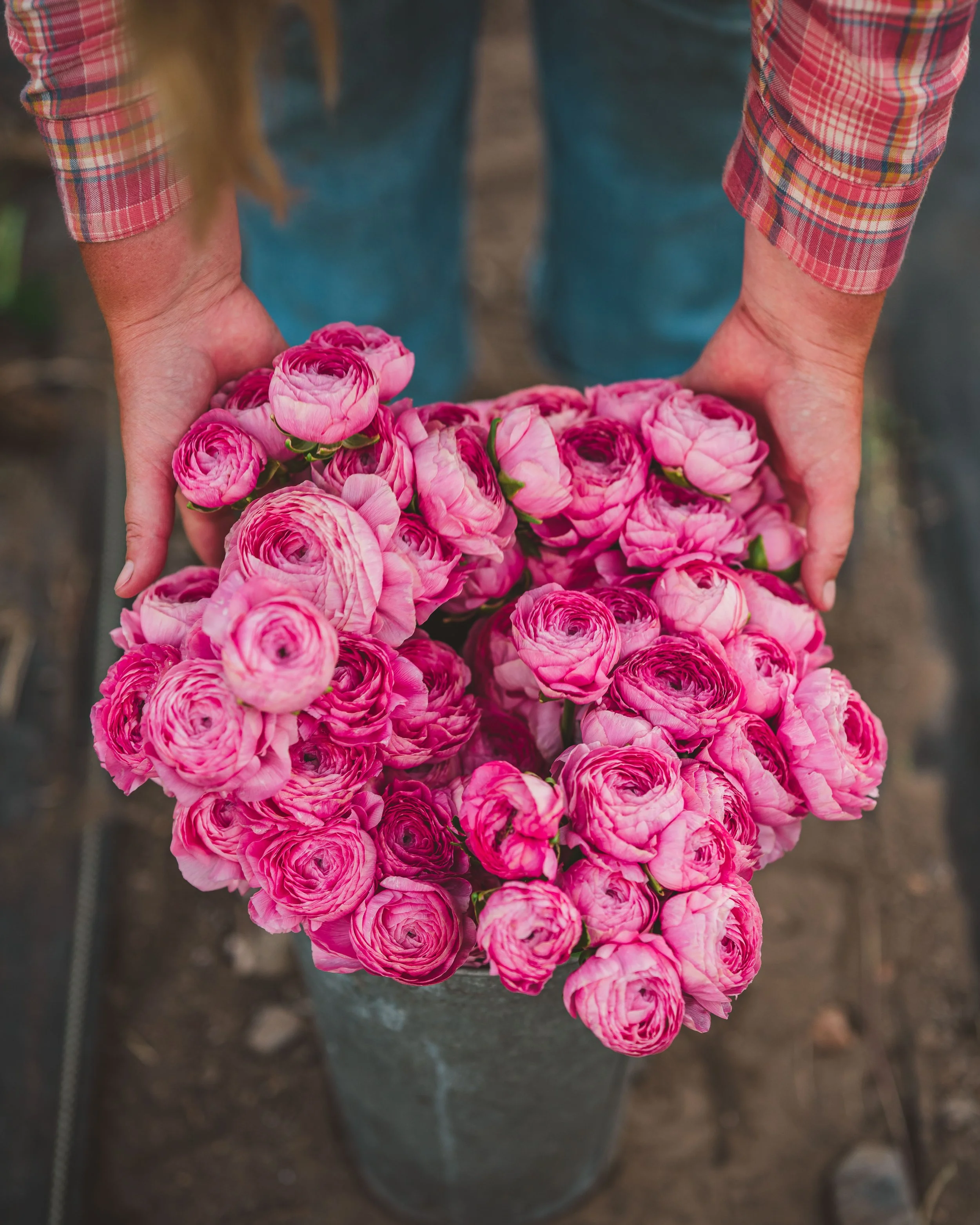 Simplified Bookkeeping for Flower Farmers — Sierra Flower Farm