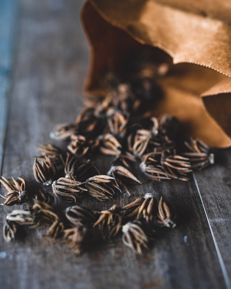 Ranunculus Growing Guide: From Corm to Bloom — Sierra Flower Farm