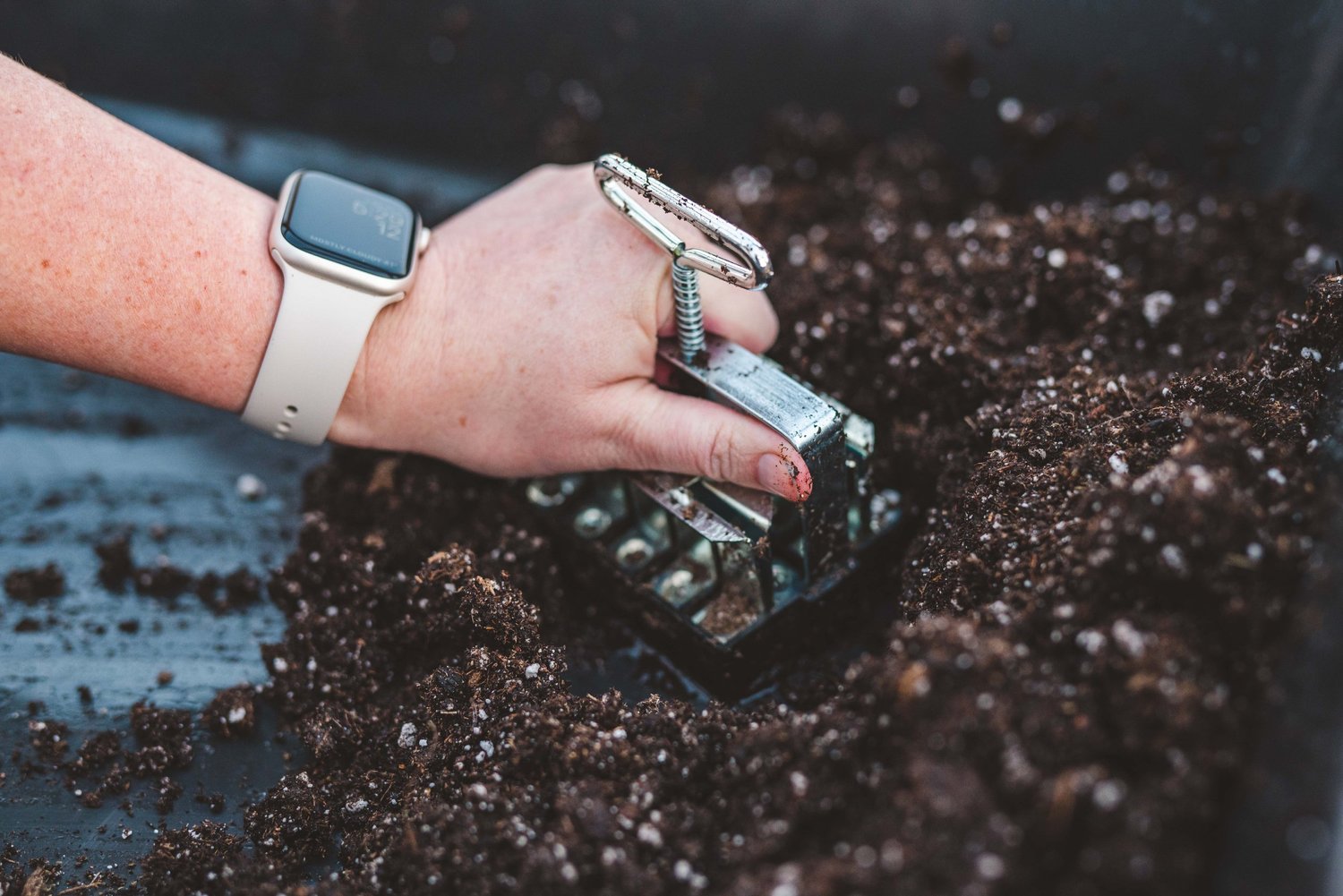 The Nitty-Gritty Guide to Soil Blocking for Flower Farmers — Sierra ...