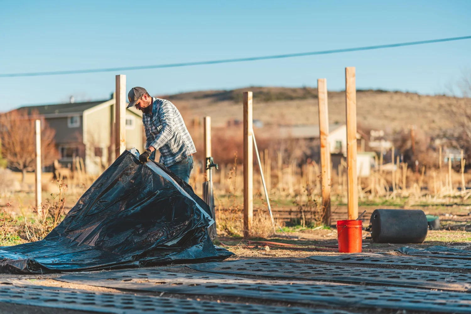 Silage Tarping 101: How to Suppress Weeds & Improve Soil for Better ...