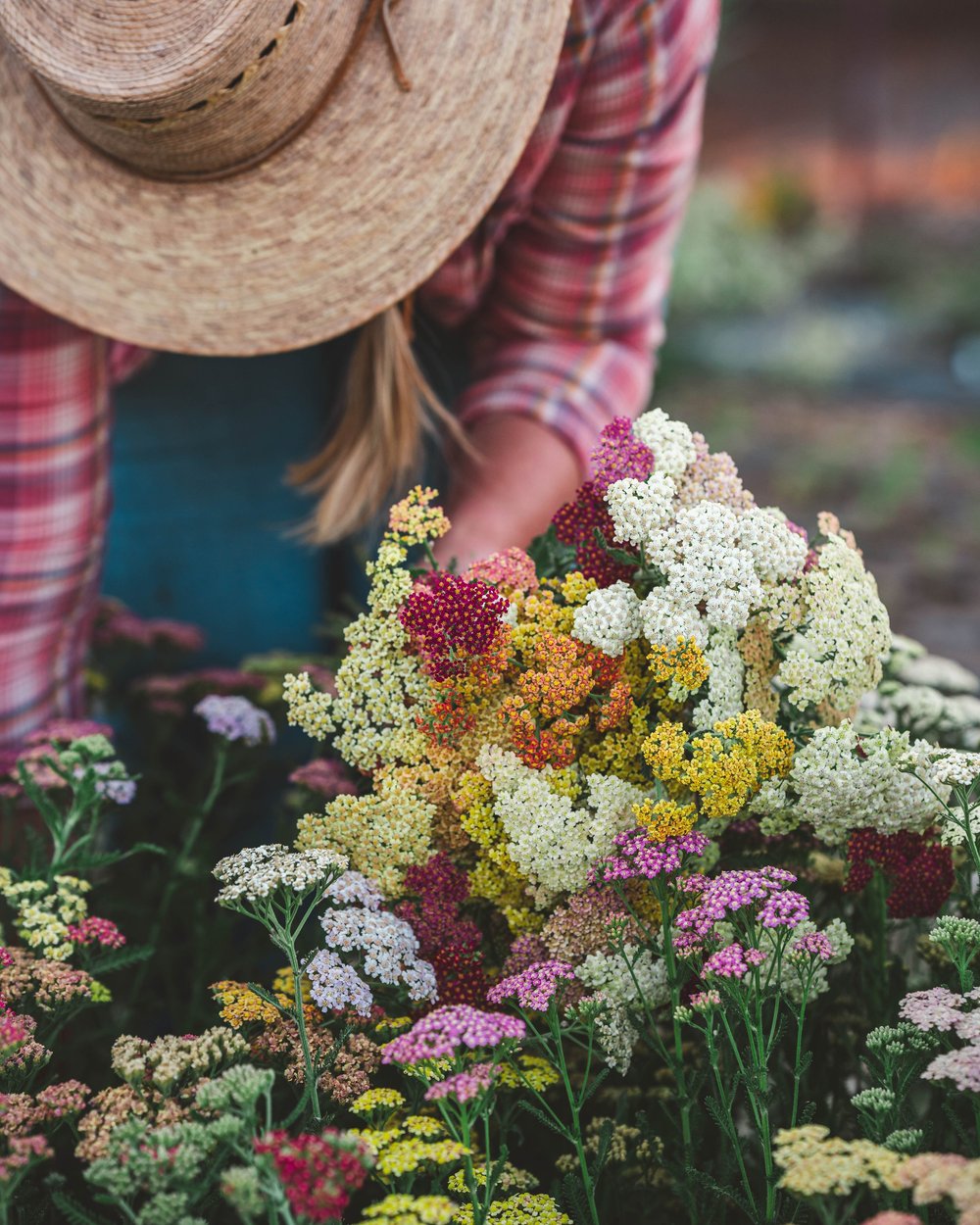 Starting Strong | Essential Varieties and Tips for Your First Year of ...