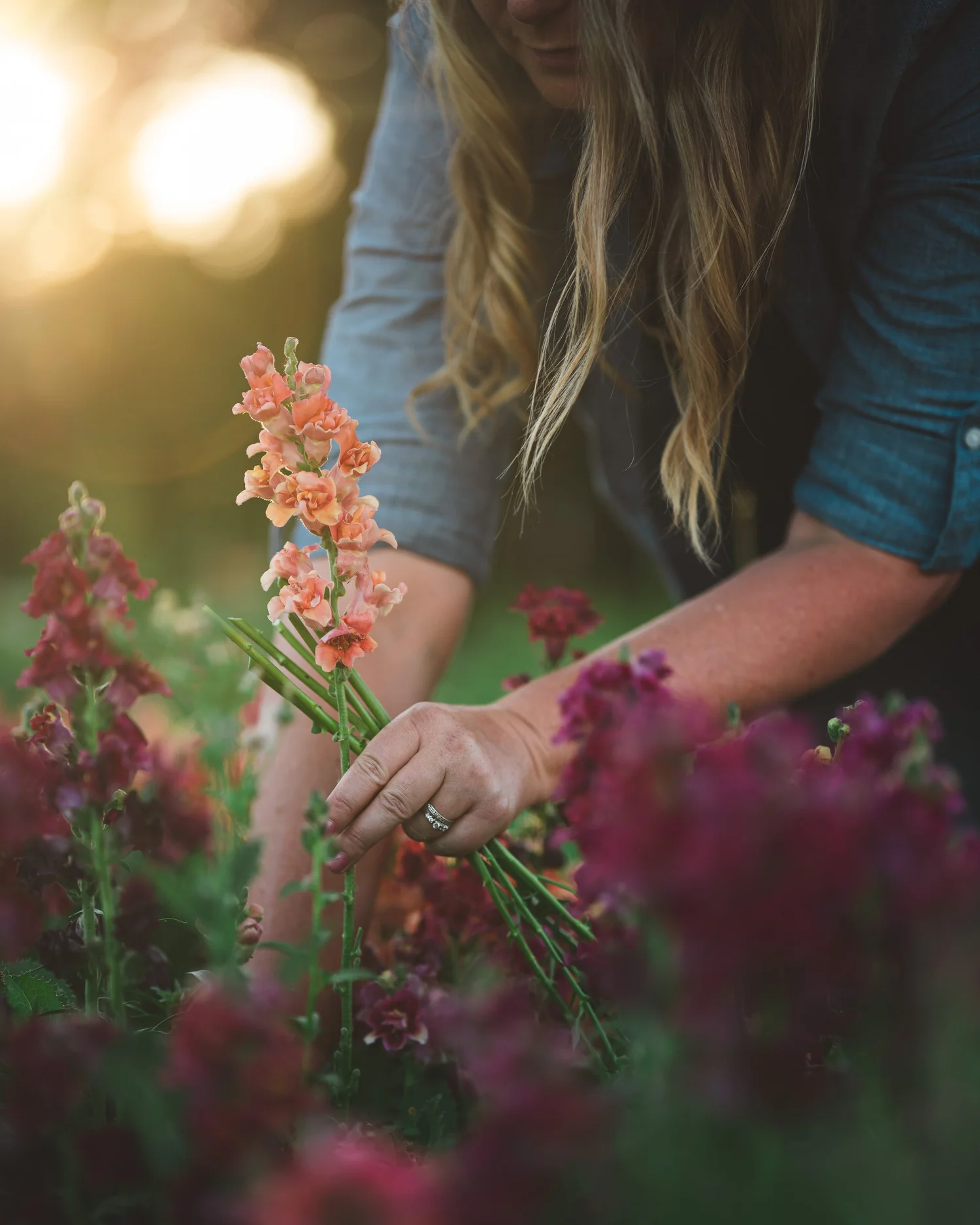 The Performance of Flowers: Designing with Intent from Seed to ...