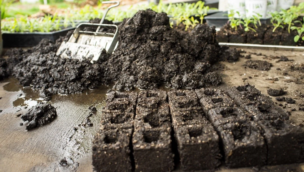The Nitty-Gritty Guide to Soil Blocking for Flower Farmers — Sierra ...