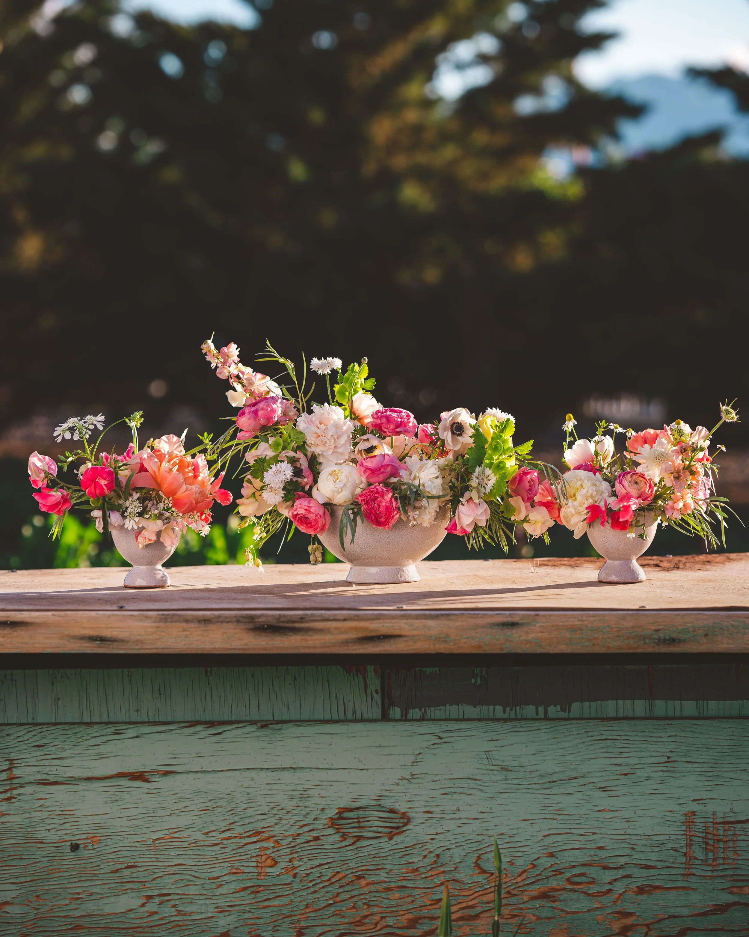 Ranunculus Growing Guide: From Corm to Bloom — Sierra Flower Farm