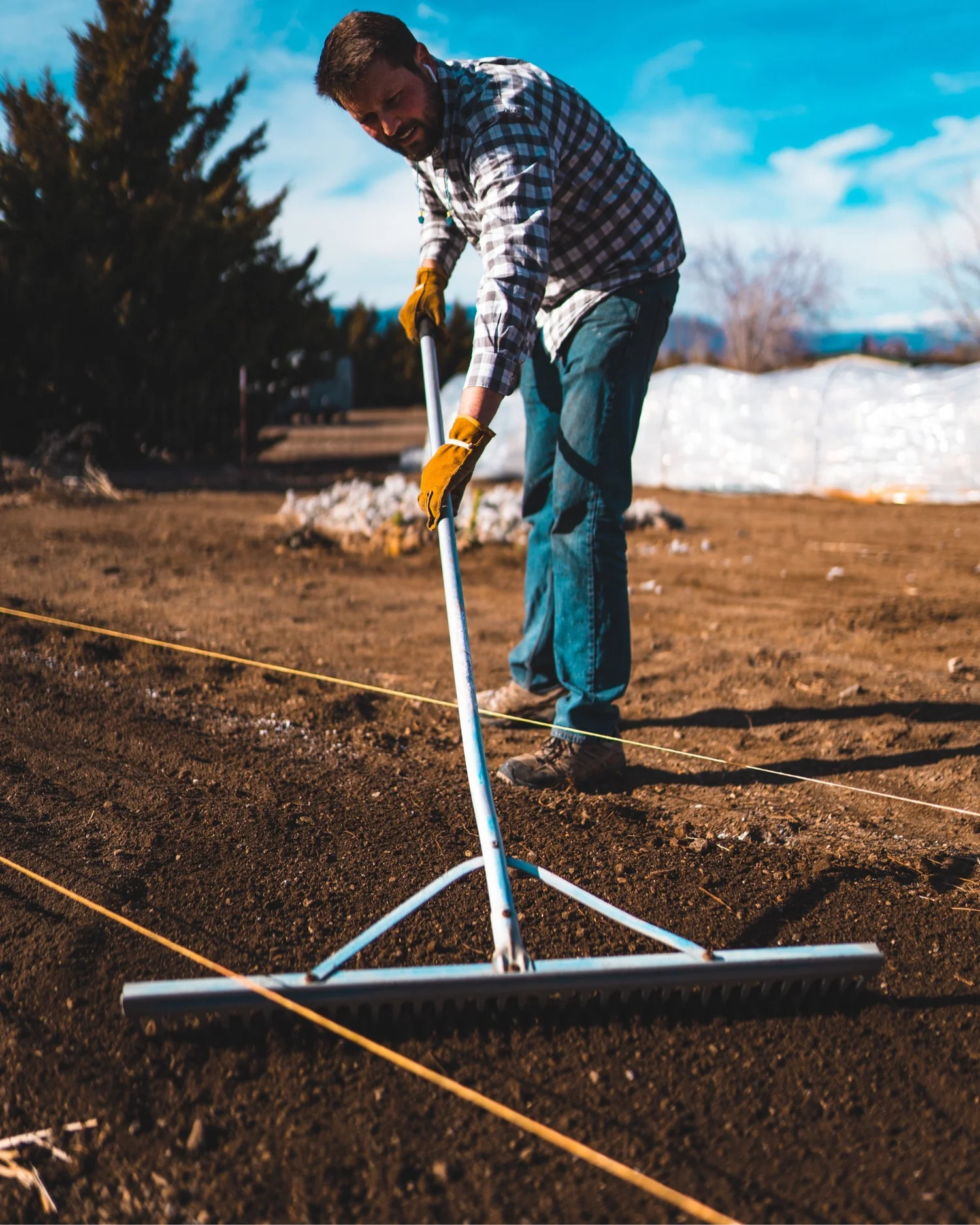 How to Build a Profitable Flower Farming Side Hustle: Budgeting, Sales ...