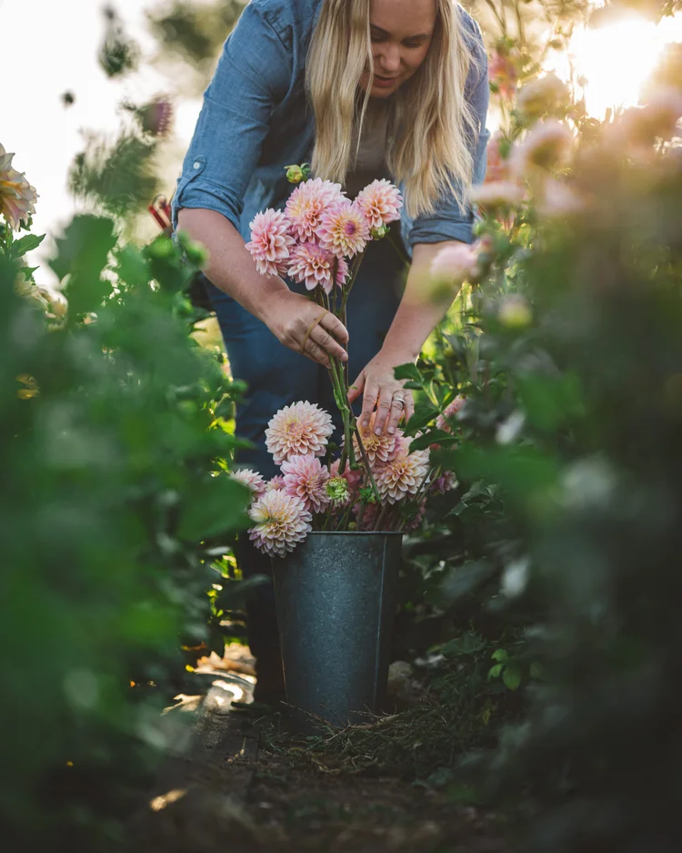 Flower Farming Resources — Sierra Flower Farm
