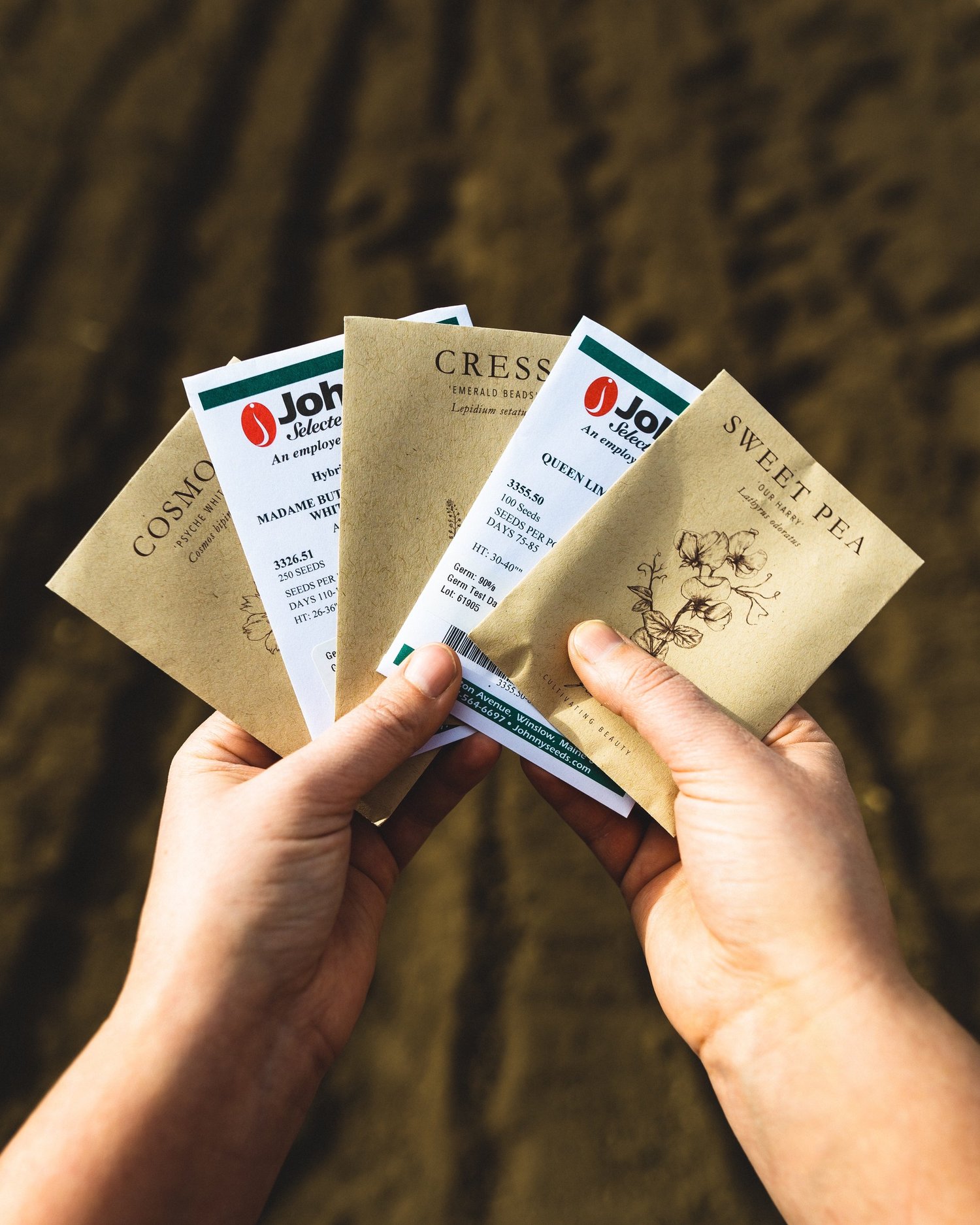 Seed Starting for Flower Farmers: Tips for Success — Sierra Flower Farm