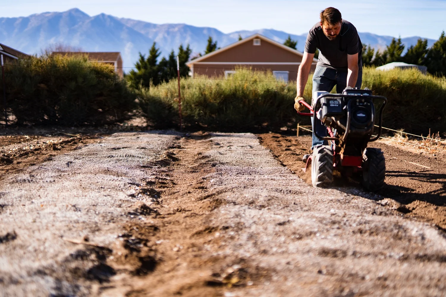 Starting Strong | Essential Varieties and Tips for Your First Year of ...