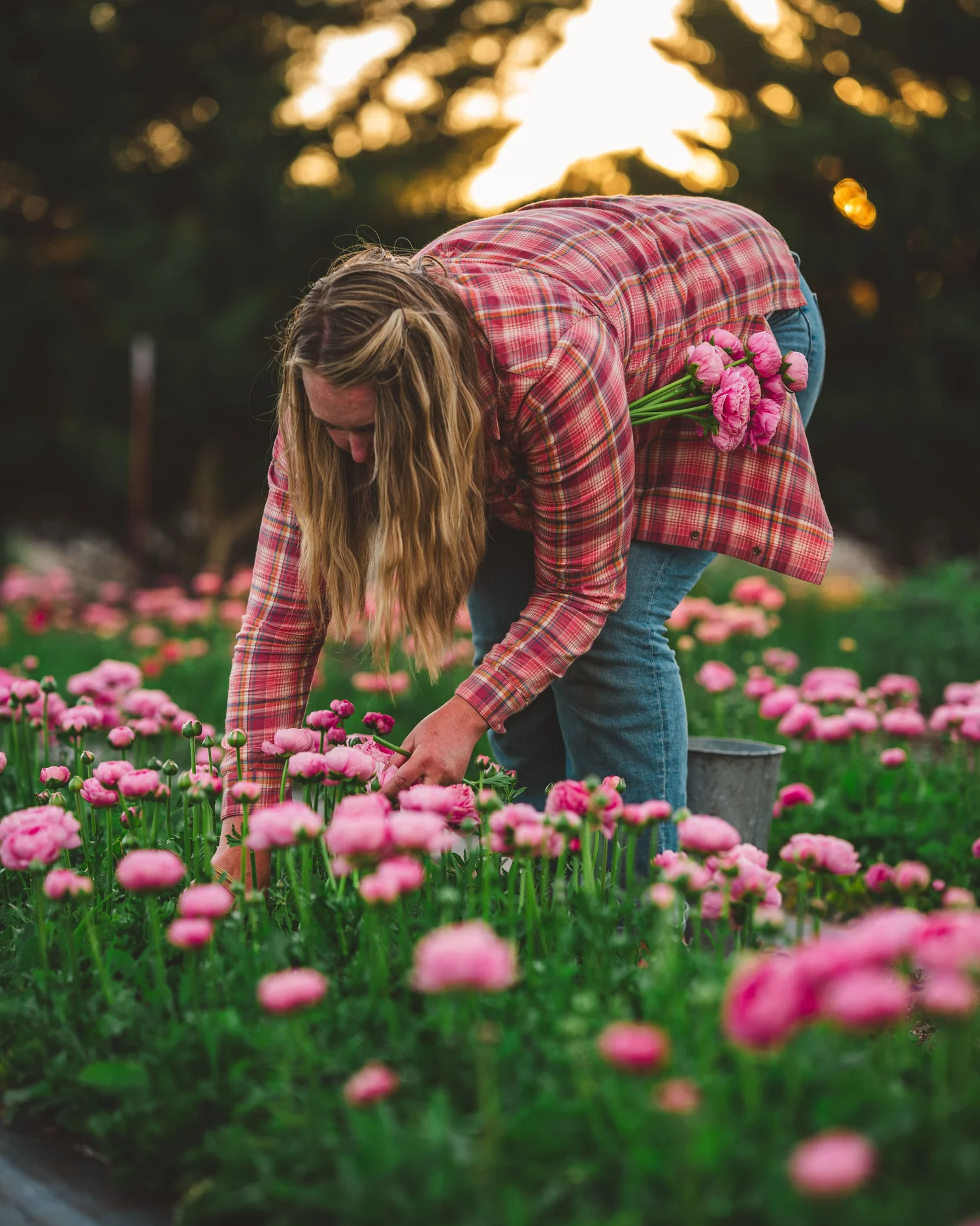 Starting a Flower Farm on a Budget: Affordable Tips and Smart ...