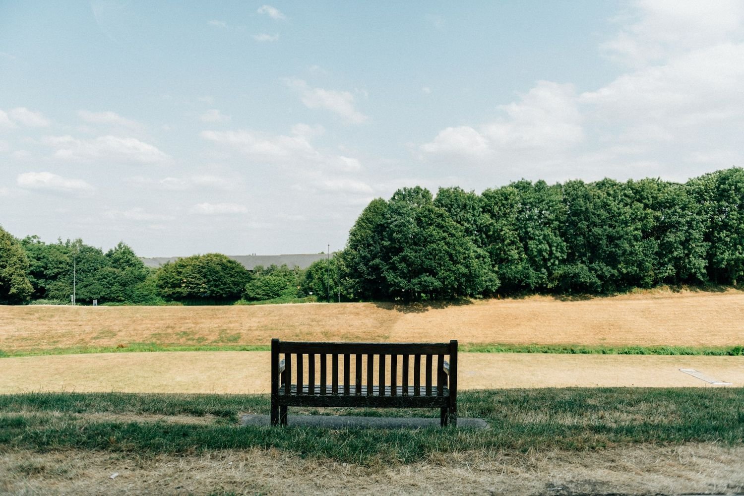 The Cultural History of the Bench: Design, Power & Pause — Foundations ...