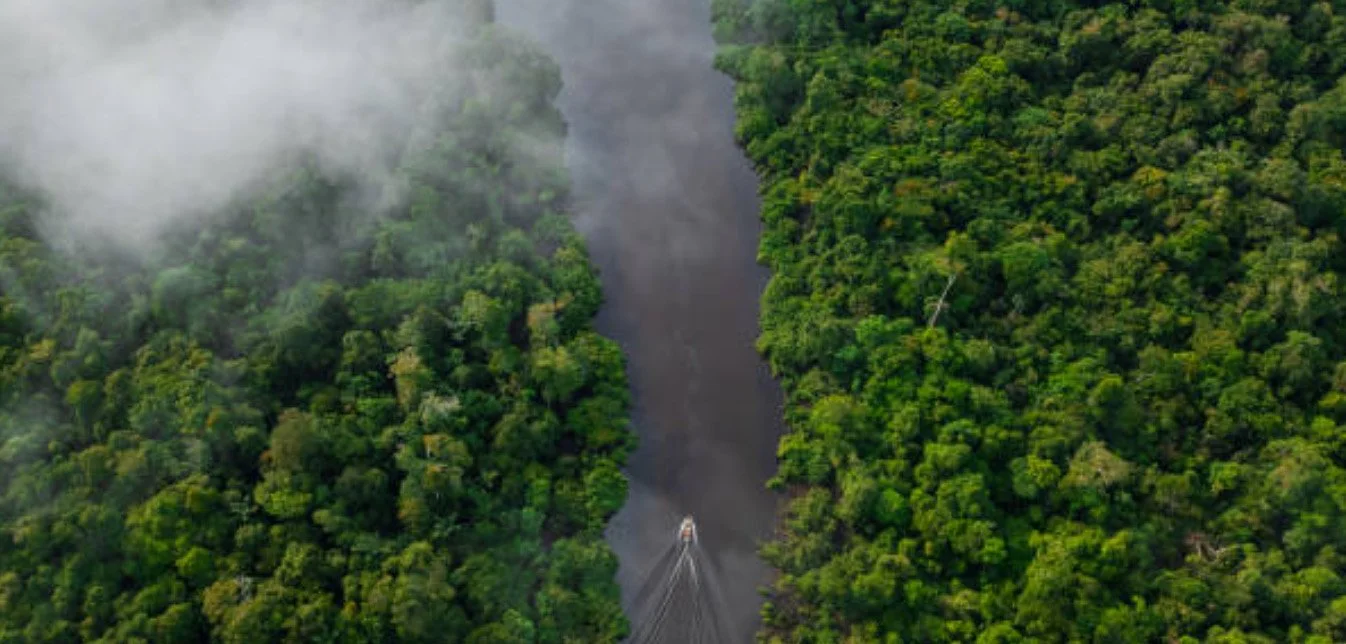 The Amazon — Cooling the Climate