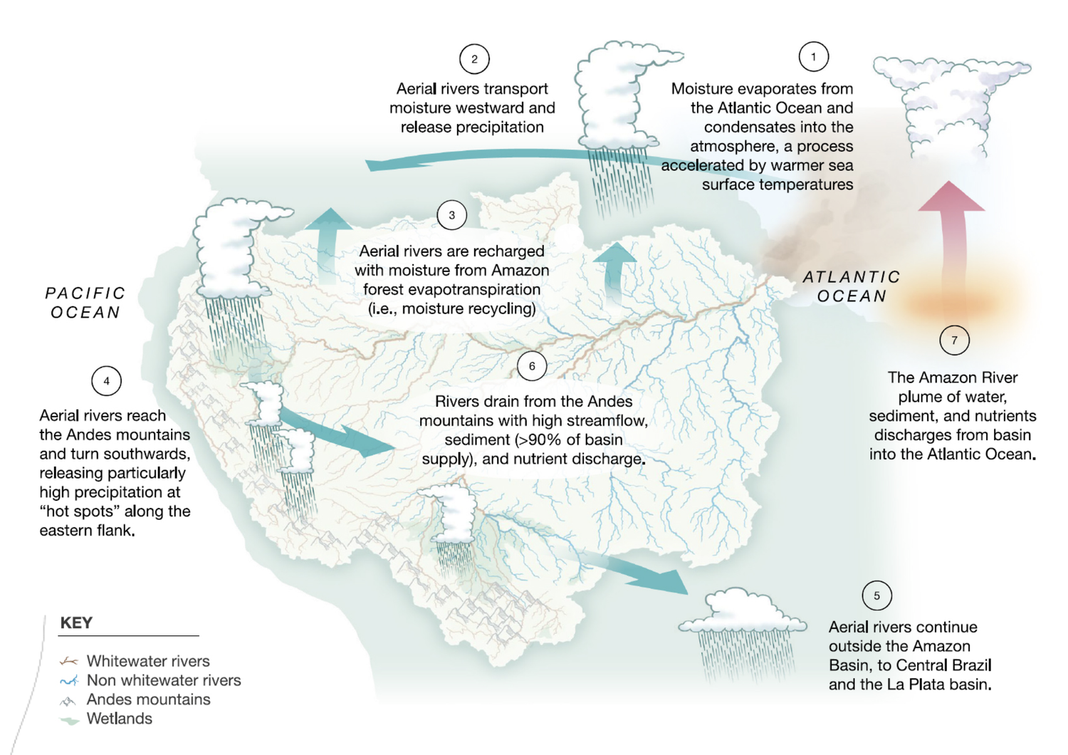 The Amazon — Cooling the Climate