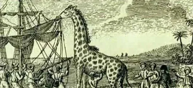 ZARAFA -- The Giraffe that Walked to Paris — Attic Planet