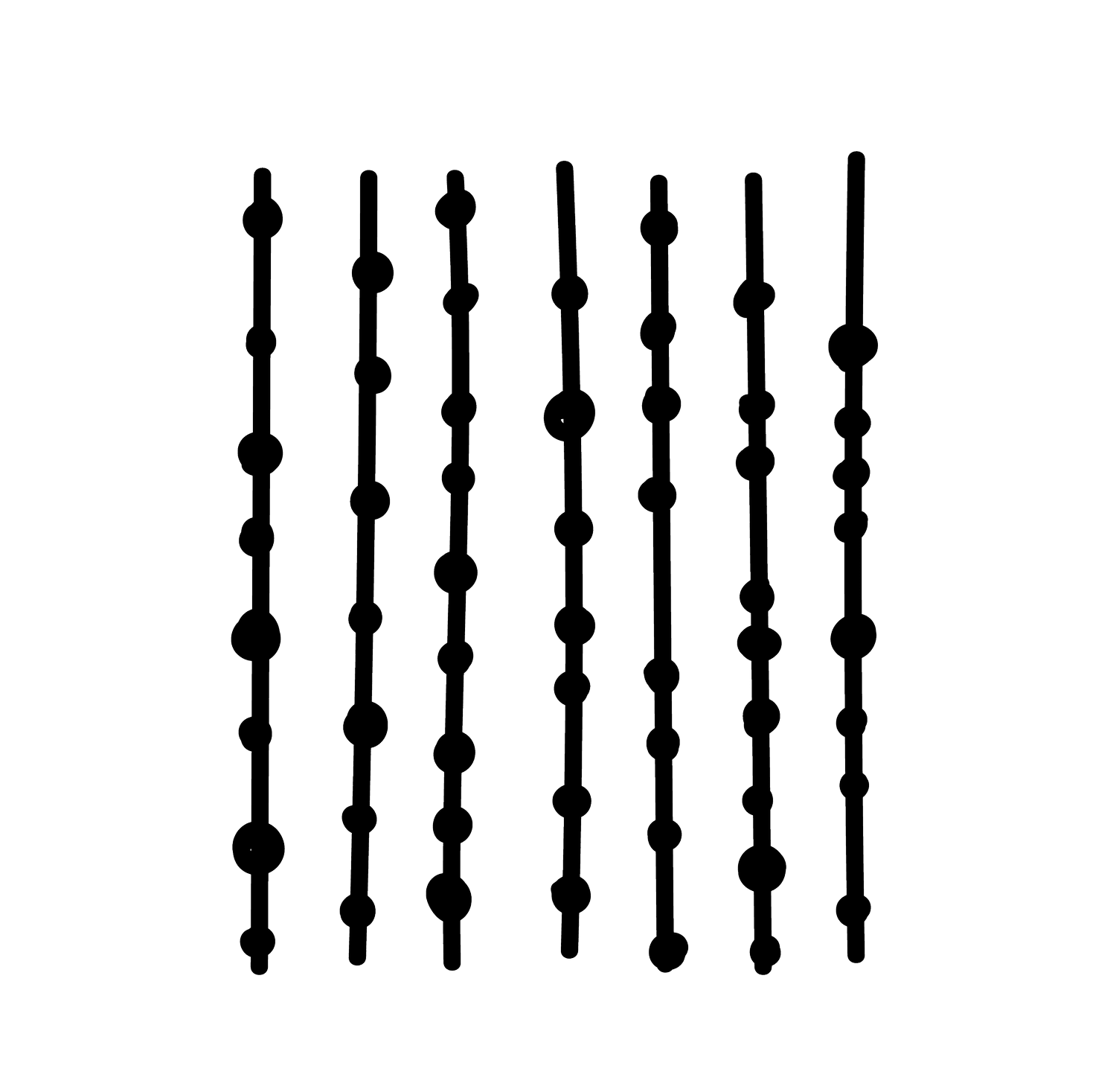 Dr. Natalie Hendon | Abbotsford Neurologist