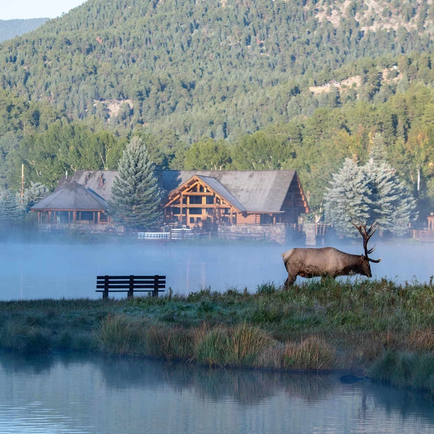 All about Pine, Colorado — Mountain Living in Colorado