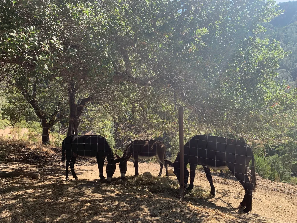 ABOUT US — Kelly Fleming Wines